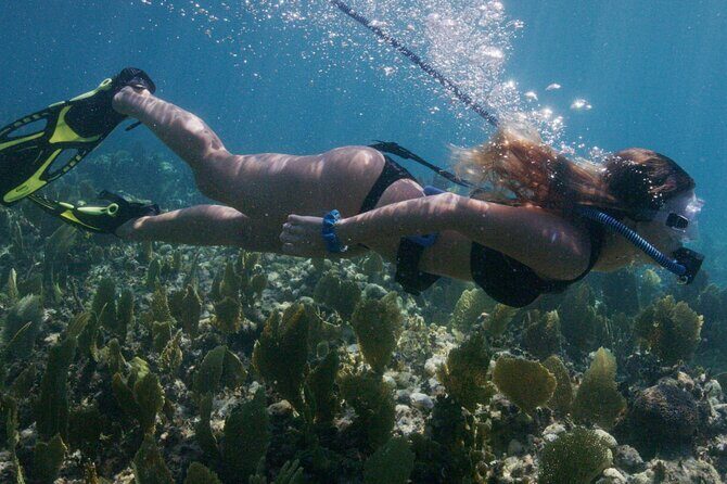 Snorkeling Experience on a NEMO Diving System - Who is This Tour Best For?