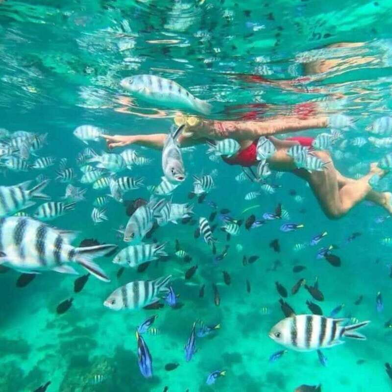 Snorkeling Express Puerto Morelos - Who This Tour Is Best For
