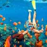 Snorkeling from Negombo - Value and Practical Insights