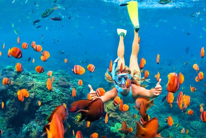 Snorkeling from Negombo - Value and Practical Insights