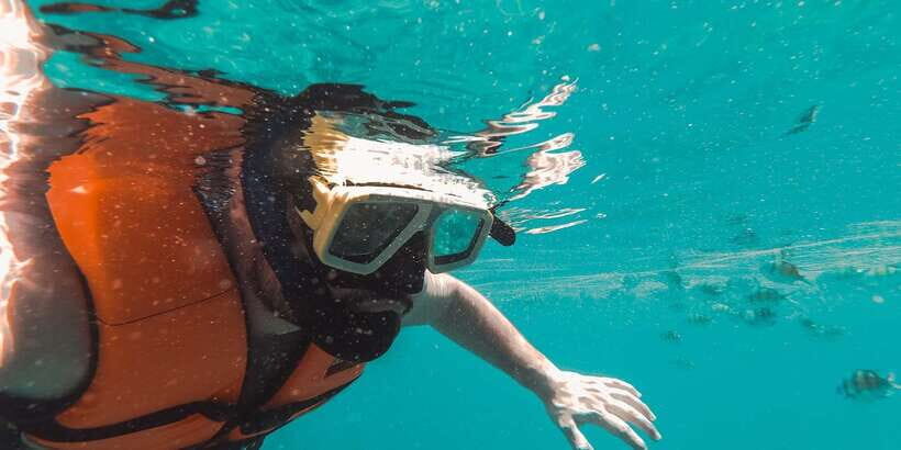 Snorkeling in Negombo - The Experience Provider: Z R I Adventures