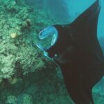 Snorkeling In Nusa Penida Departing From Bali Island - Itinerary Breakdown: What You Can Expect