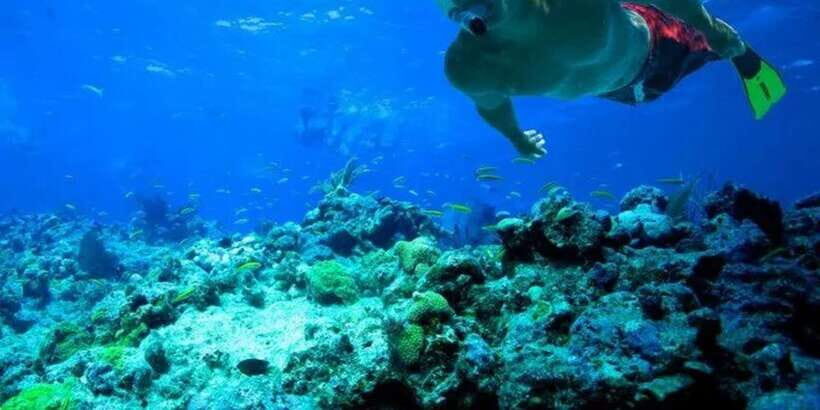 Snorkeling in Port City - Key Points