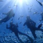 Snorkeling in the Blue Cave areaOkinawa Prefecture: Free feeding & photo images!English and Chinese speaking guide available! - The Experience in Detail: What Makes It Special