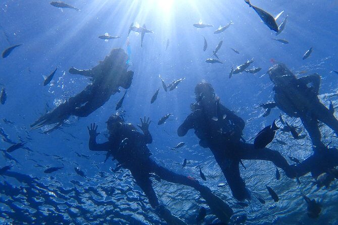 Snorkeling in the Blue Cave areaOkinawa Prefecture: Free feeding & photo images!English and Chinese speaking guide available! - The Experience in Detail: What Makes It Special