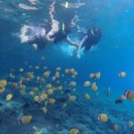 Snorkeling Manta Bay And West Penida Private Guided Tour - Final Thoughts: Is It Worth It?
