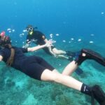 Snorkeling Package at Padang Bai Blue Lagoon - Summing Up: Who Is This Tour Perfect For?