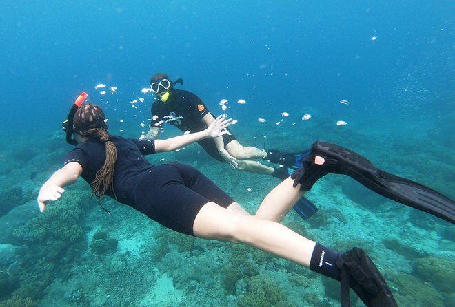 Snorkeling Package at Padang Bai Blue Lagoon - Summing Up: Who Is This Tour Perfect For?