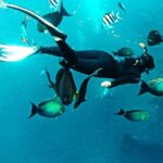 Snorkeling Package at Tulamben Liberty Shipwreck - Exploring the Wreck: What You Can Expect