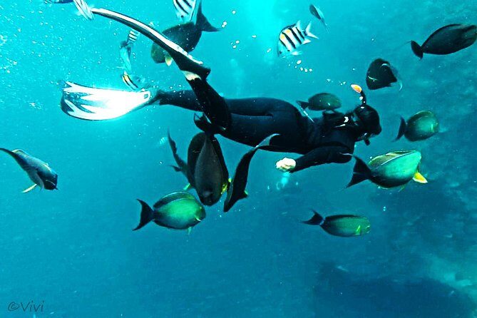 Snorkeling Package at Tulamben Liberty Shipwreck - Exploring the Wreck: What You Can Expect