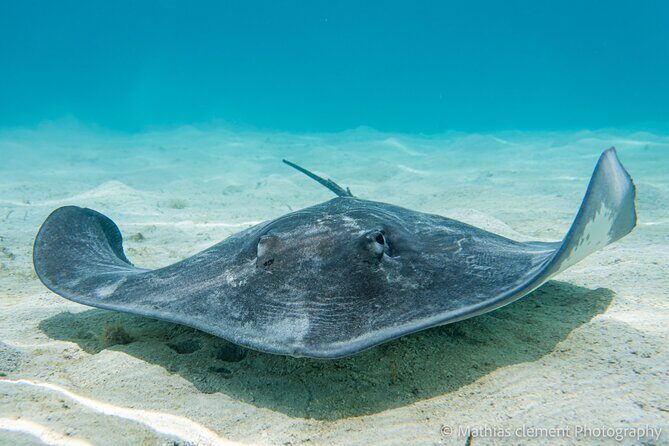 Snorkeling picnic in 5 hours with lunch in Tahiti - The Itinerary in Detail