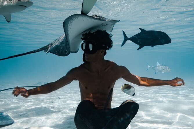 Snorkeling Safari Moorea (Half Day Tour) - Final Thoughts