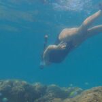 Snorkeling San Carlos with a Marine Biologist - Practical Tips for Participants