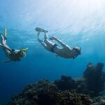 Snorkeling Tour at Land's End in Cabo San Lucas - Who Will Love This Tour?