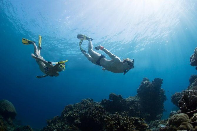 Snorkeling Tour at Land's End in Cabo San Lucas - Who Will Love This Tour?
