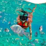 Snorkeling tour Express in Cancun with Certified Guide - Honing in on Real Experiences