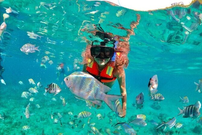 Snorkeling tour Express in Cancun with Certified Guide - Honing in on Real Experiences