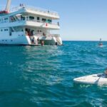 Snorkeling tour in Cabo San Lucas - The Sum Up: Is This Tour Worth It?