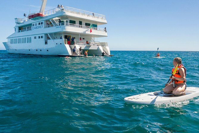 Snorkeling tour in Cabo San Lucas - The Sum Up: Is This Tour Worth It?