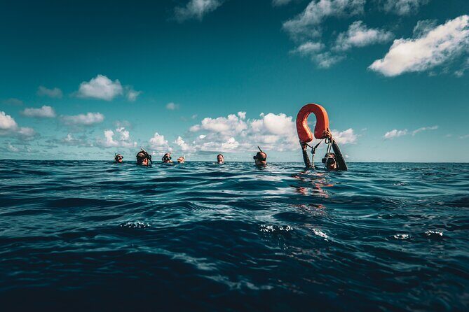 Snorkeling Tour in Moorea Aquatic Adventure Half Day - Who Is This Tour Best For?
