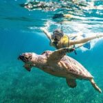 Snorkeling Tour with Turtles and Stingrays Puerto Morelos - Facilities and Convenience