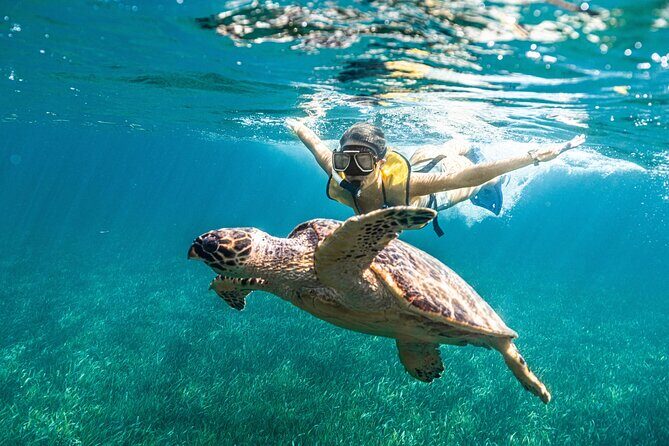 Snorkeling Tour with Turtles and Stingrays Puerto Morelos - Facilities and Convenience
