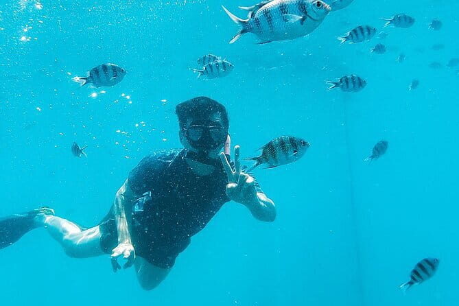 Snorkeling Trip around Koh Kood or Koh Rang Marine Park - Practical Details and Tips