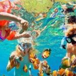 Snorkeling Trip from Polhena Beach, Matara, Sri Lanka - The Value of This Tour