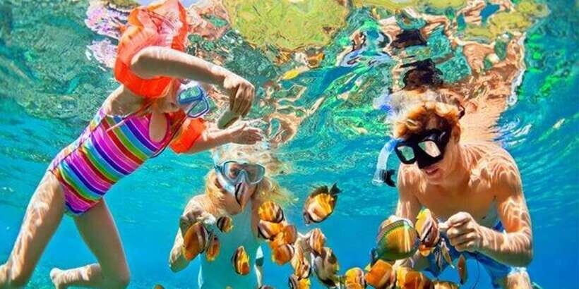 Snorkeling Trip from Polhena Beach, Matara, Sri Lanka - The Value of This Tour