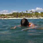 Snorkeling with Sea Turtles and Cenote Adventure - Practical Details and Logistics