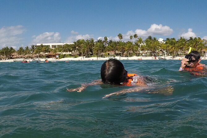 Snorkeling with Sea Turtles and Cenote Adventure - Practical Details and Logistics