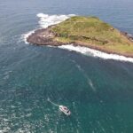 Snorkeling with Turtles  Cook Island Marine Reserve - Who Will Love This Tour?