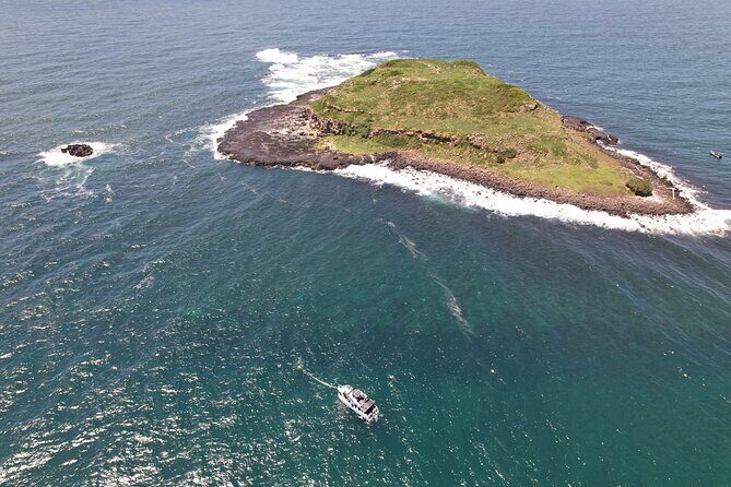 Snorkeling with Turtles  Cook Island Marine Reserve - Who Will Love This Tour?