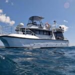 Snorkelling with Turtles at Cook Island Marine Rserve - The Value and Costs: Is It Worth It?