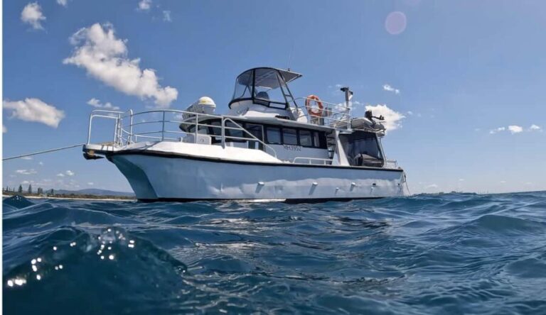Snorkelling with Turtles at Cook Island Marine Rserve - The Value and Costs: Is It Worth It?