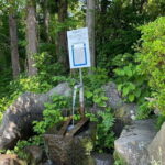 Snow Monkey & Shibu Onsen Private Tour (Nagano, Nozawa, Myoko) - Who Will Love This Tour?