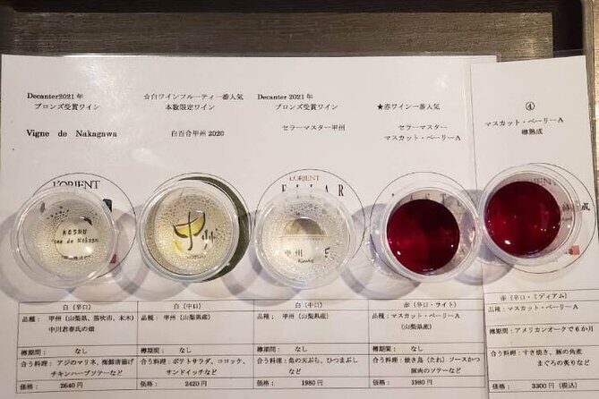 Snow monkeys from Tokyo: Full-Day Private trip with Local Guide - What’s the Practical Side?