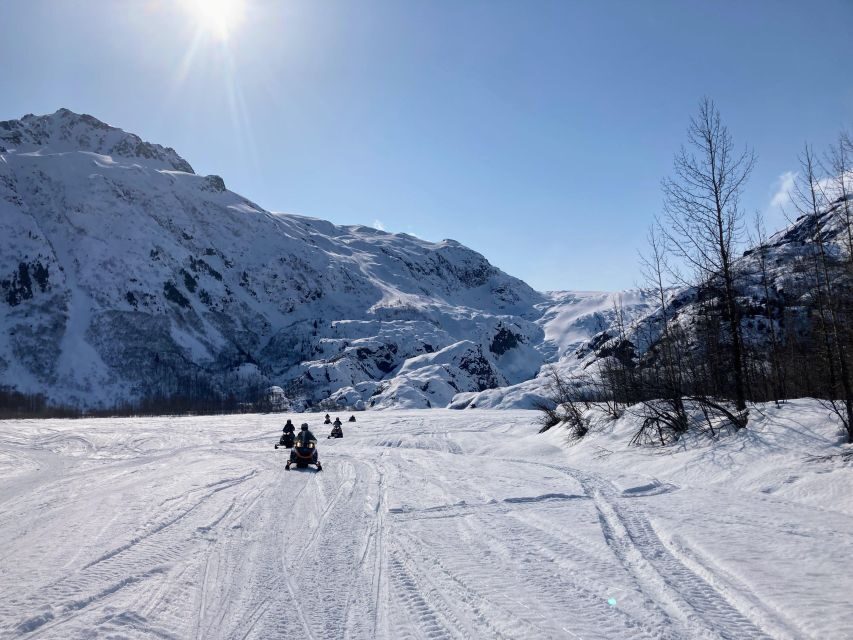 Snowmobile Classic Tour in Kenai Fjords National Park - The Highlights and Scenic Value