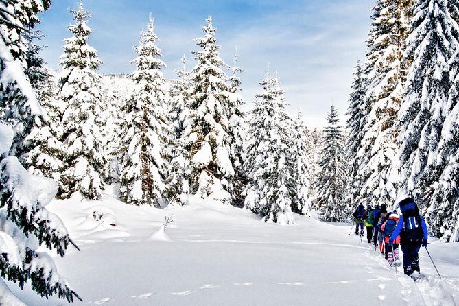 Snowshoe Through Vancouver's Winter Wonderland - Who Should Consider This Tour?