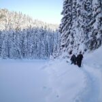 Snowshoe Tours - The Crater Rim Snowshoe Tour (Up to 4 Hours)