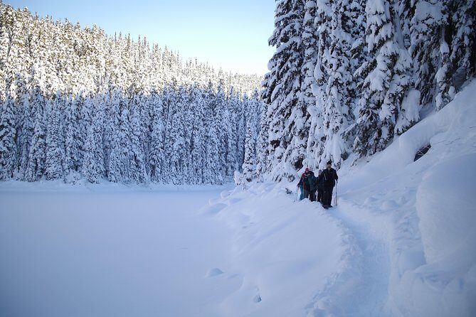 Snowshoe Tours - The Crater Rim Snowshoe Tour (Up to 4 Hours)