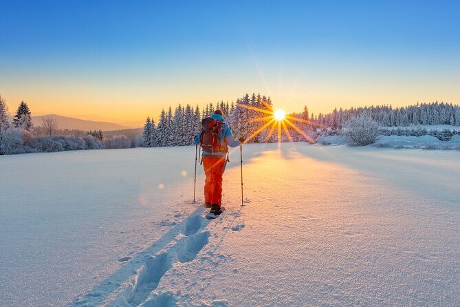 Snowshoeing at The Top of The Sea to Sky Gondola - The Sum Up: Who Will Enjoy This Experience?