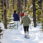 Snowshoeing In Vancouver's Winter Wonderland - Authentic Experiences Highlighted by Travelers