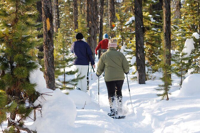 Snowshoeing In Vancouver's Winter Wonderland - Authentic Experiences Highlighted by Travelers
