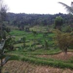 Soft Trekking Tetebatu - Who Should Consider This Tour?