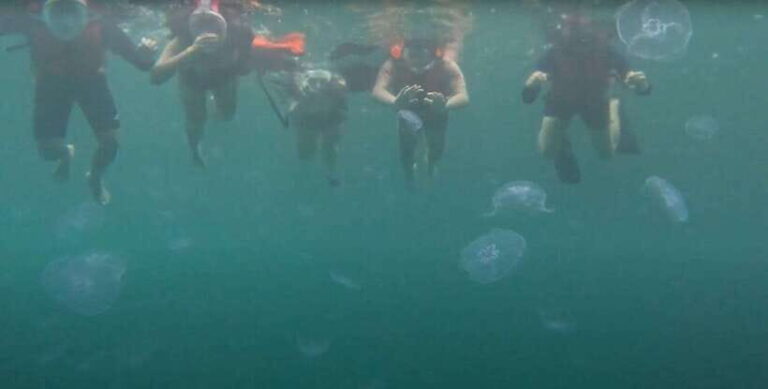 Sohoton Cove: Swim with Jellyfish & Explore Hidden Lagoons - The Itinerary in Detail