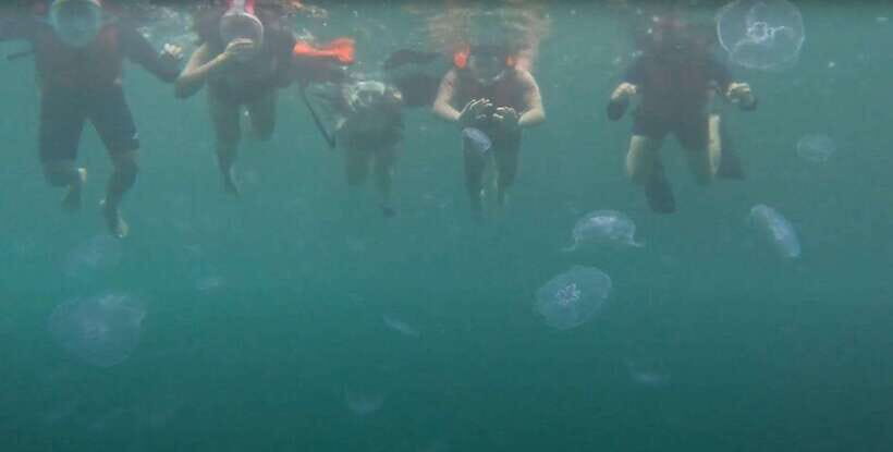 Sohoton Cove: Swim with Jellyfish & Explore Hidden Lagoons - The Itinerary in Detail