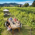 Solo Traveller Full Day Wine Gourmet and Scenic Delights Tour from Blenheim - The Experience You Can Expect