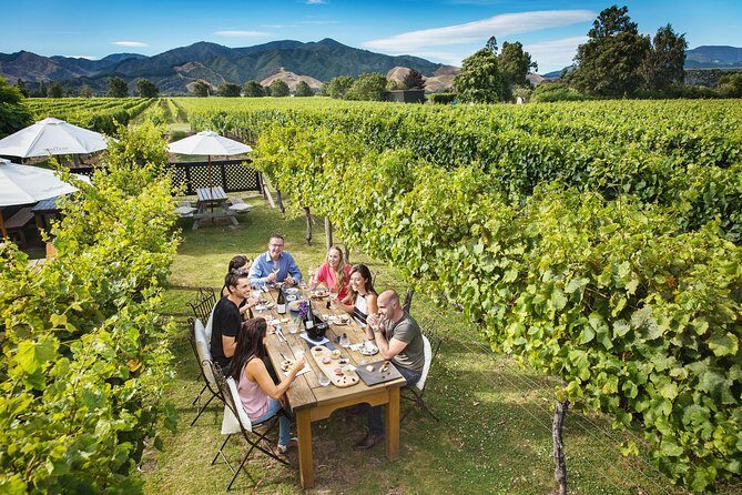 Solo Traveller Full Day Wine Gourmet and Scenic Delights Tour from Blenheim - The Experience You Can Expect