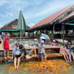 Son Islet Eco-Tour - Authentic Mekong Delta Experience - An Entertaining and Educational Voyage